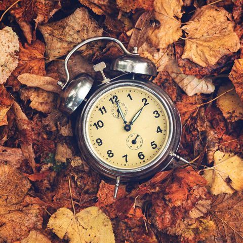 How will your body and mind react when the clocks change this month?